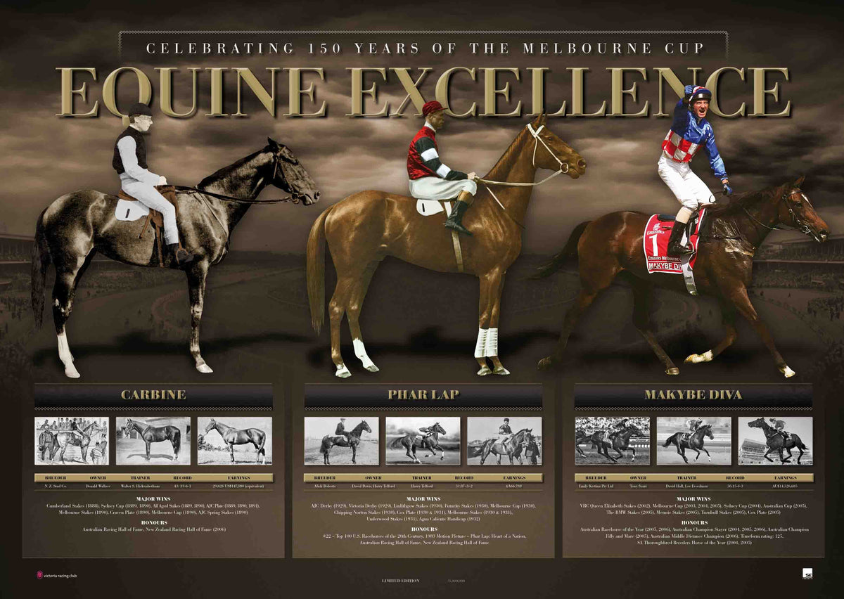 Equine Excellence horse racing 80x62cm paper — Chamton